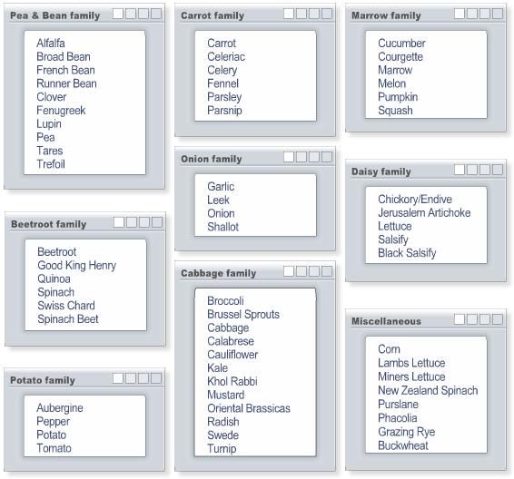 From a Worcester Allotment: How to recognise Plant Families