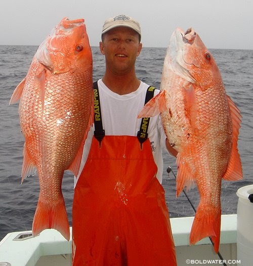 EL RINCON DEL INTERNISTA: Pargo del Golfo(Red Snaper)o cangrejo(crab)
