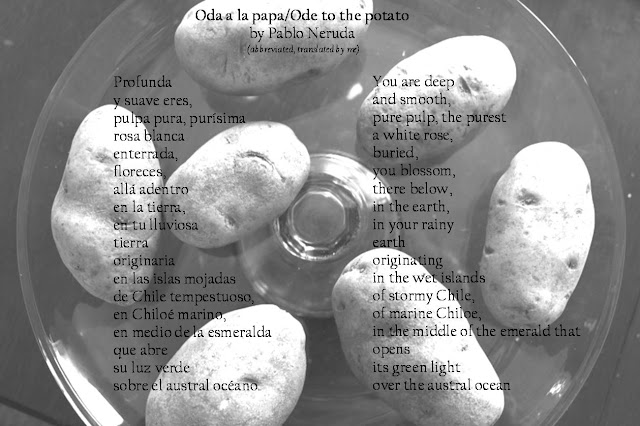 OB Cookie: Oda a la papa/Ode to the potato