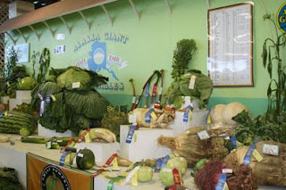 What's Cool in Alaska: Record Breaking Vegetables