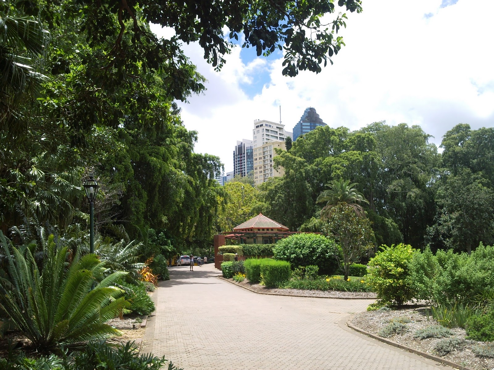 Daily Brisbane Photo: City Botanic Gardens