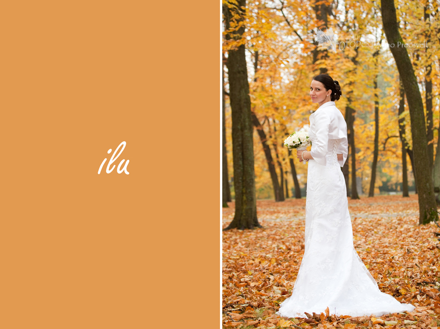 Pulmafotod sügisel- fotograaf Anno Proosvelt - Fotostuudio Fotopesa