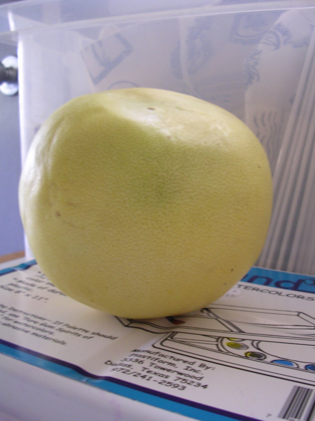 REBECCA SNOW: 8/1/10 - 9/1/10