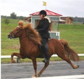 Fsu - Selfoss, Iceland - Daxing middle school nr. 1- Beijing, China ...