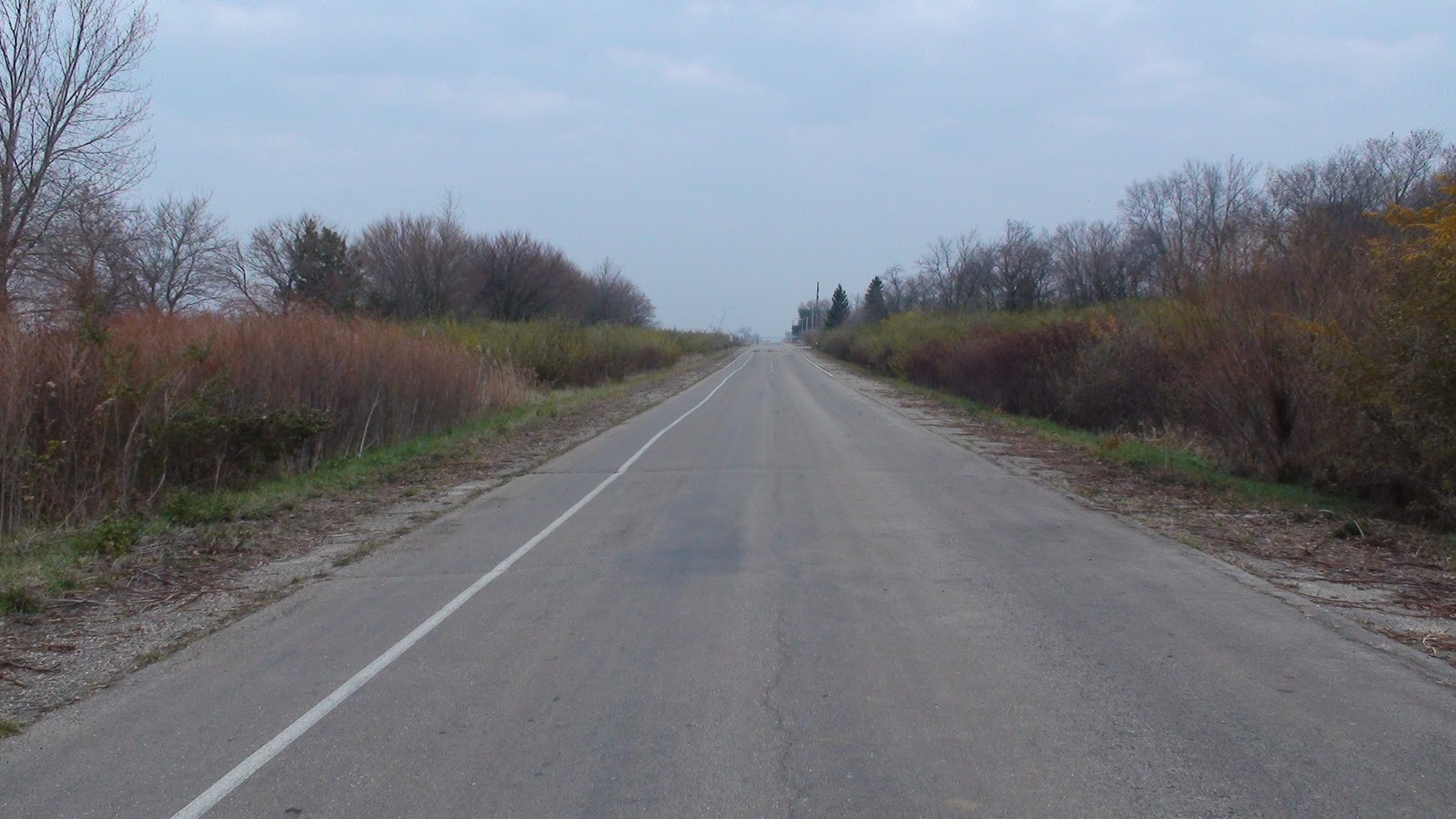 Will County News: Turtle Pond and Turtle Pond Trail in the Midewin ...