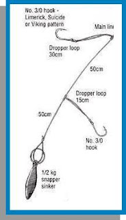 No Fishing: Jenis-jenis Perambut Laut Dalam