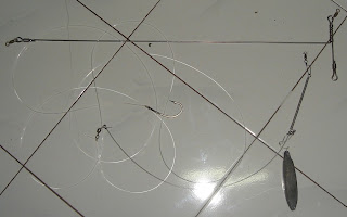 No Fishing: Jenis-jenis Perambut Laut Dalam