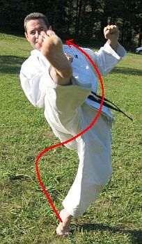 SHOTOKAN: GUERI...