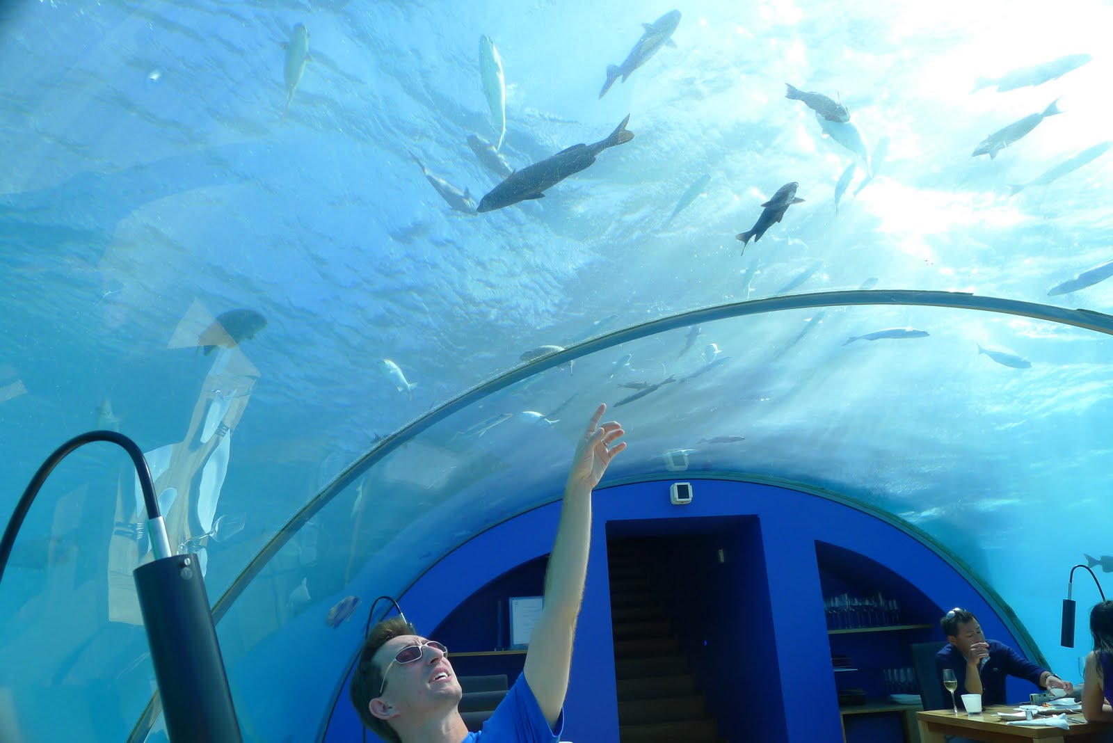 COHEN CENTRAL: THE WORLD IS OUR PLAYGROUND: Ithaa: Underwater ...