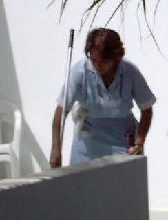 domestiche: dicembre 2007