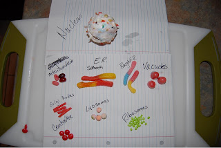 joyous: LAB PROJECT #3, CELL MODEL