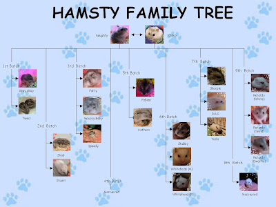 Hamsty Hamster World: Hamsty Family Tree