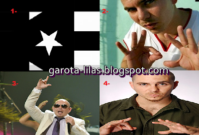 Garota Lilás: P- Panic at The Disco, Paramore, Paris Hilton,Pink e Pitbull