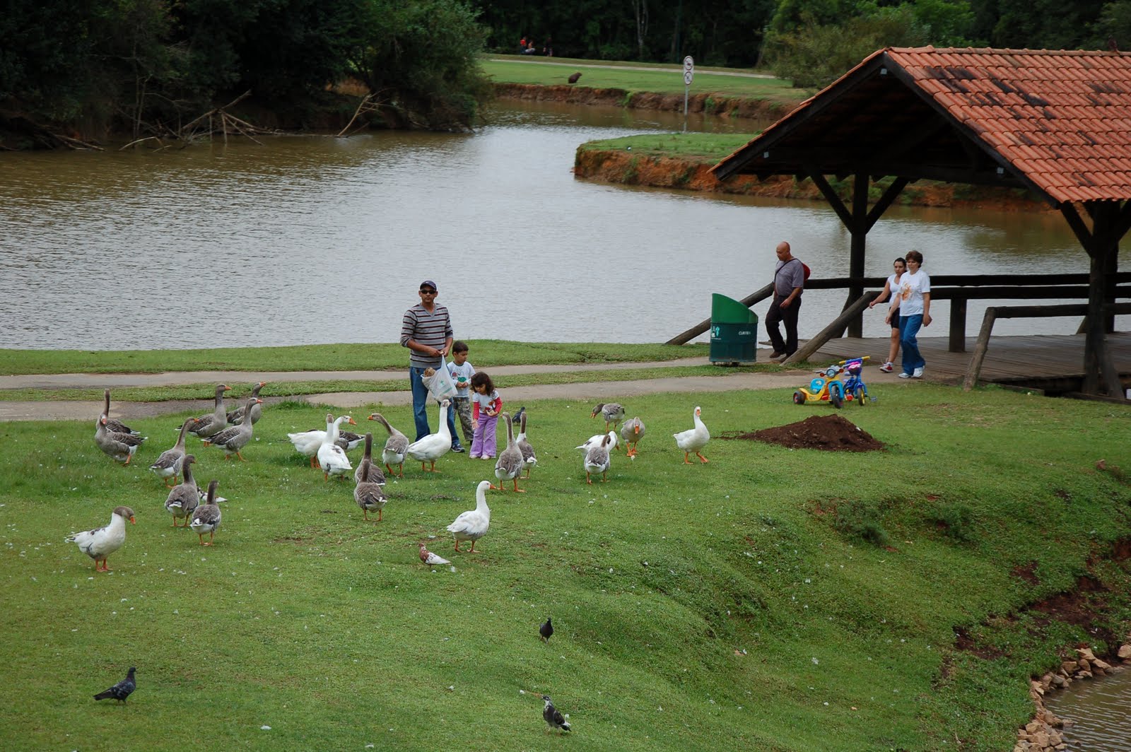 Curitiba Portraits: Tingui Park
