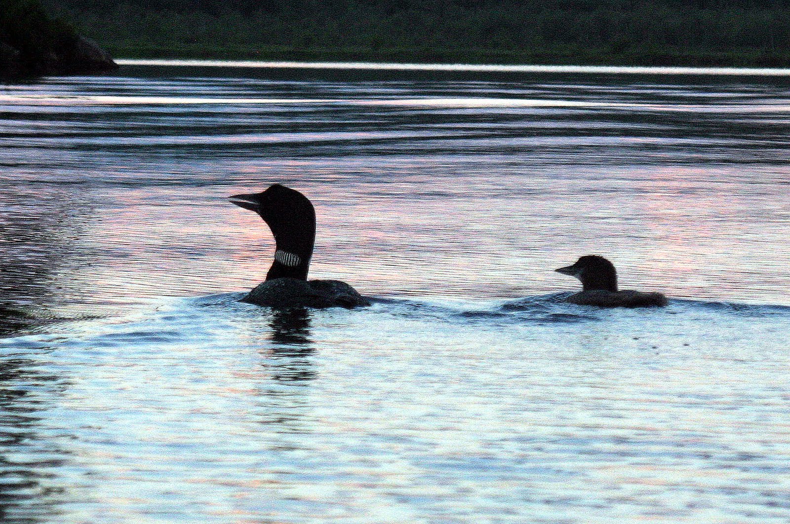 The Pen of the Wayfarer: August 2010