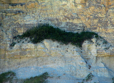 Bob's Blah-Blah Blog: "Travelogue: The Castles, Slim Buttes, South Dakota"