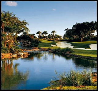 Renée Finberg ' TELLS ALL ' in her blog of her Adventures in Design ...