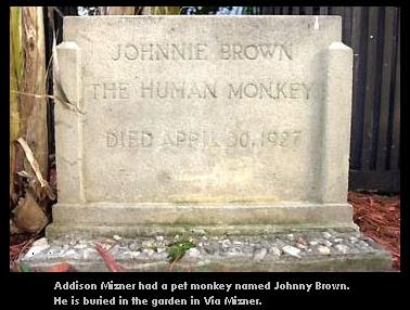 Renée Finberg ' TELLS ALL ' in her blog of her Adventures in Design ...