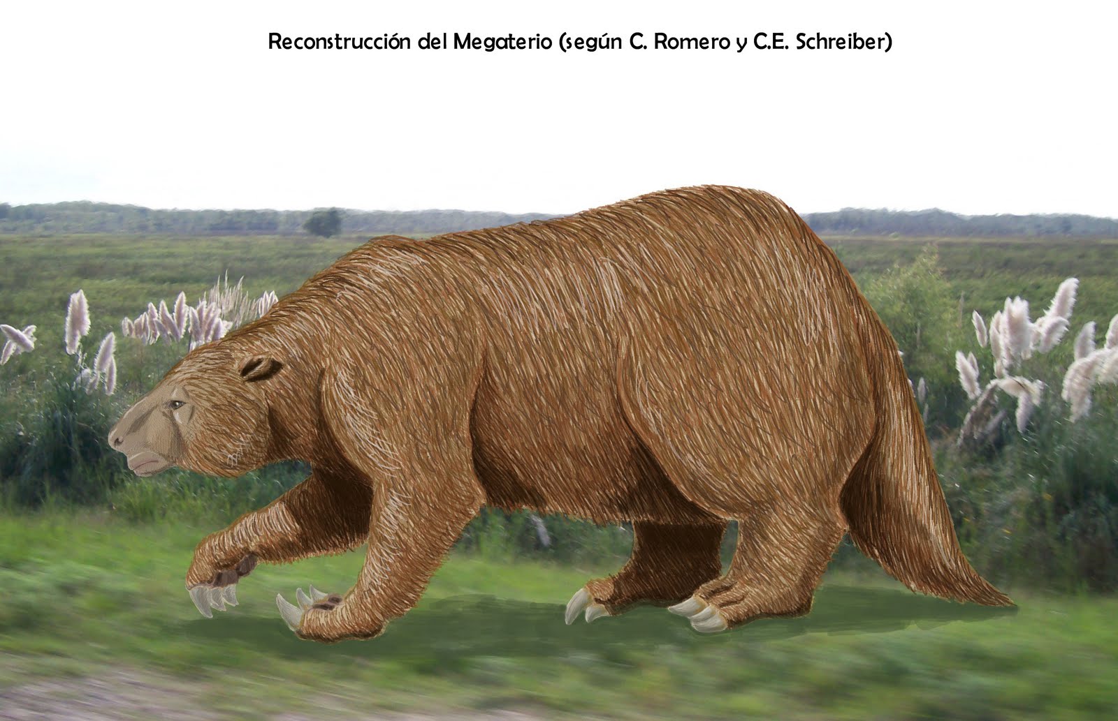 Opiniones de Megatherium