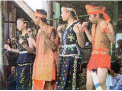 'THE GATE OF MURUT HOMESTAY'