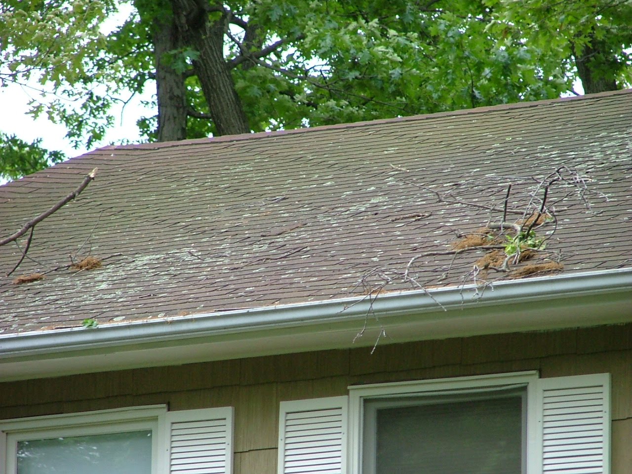Black Spots on my Roof