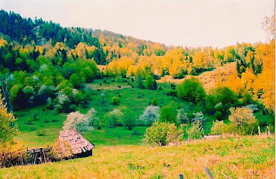 TATARIJA: ŠTA JE ŠTA U BOŠNJAKA