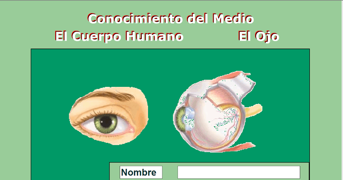 LA MINA .... 3º de PRIMARIA: LOS SENTIDOS: EL OJO