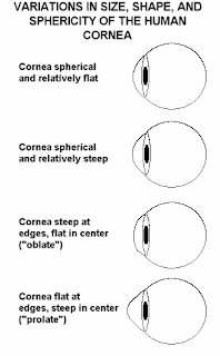 Color Contact Review for a Fabulous New You: CONTACT LENS BASICS