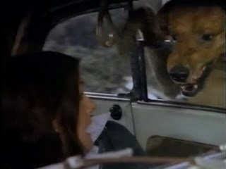 The Horn Section: Film Review: THE PACK (1977)