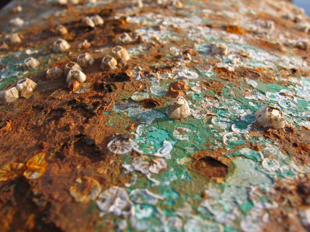 Corrosion World: Apa itu Kakisan?What's Corrosion?