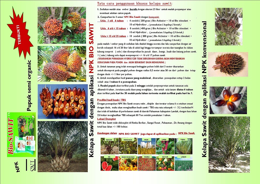 Bio Sawit: Bio Sawit