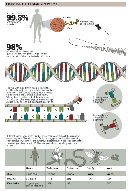 Welcome ~Lucy's~ to the Truth: DNA, Energy Connections, Emotions, the ...