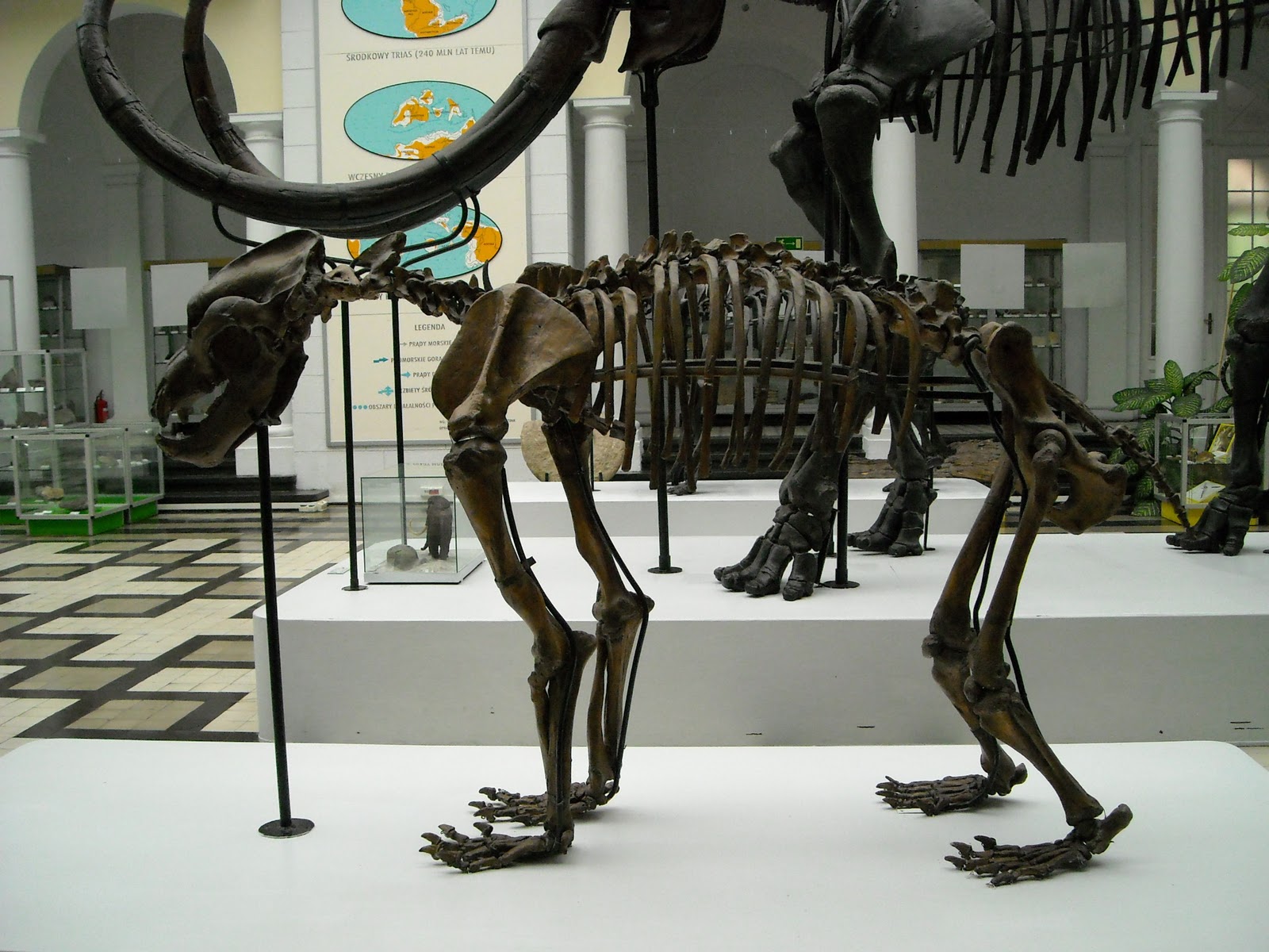 The Lord Geekington: An Interlude Of Poorly-Reconstructed Bears