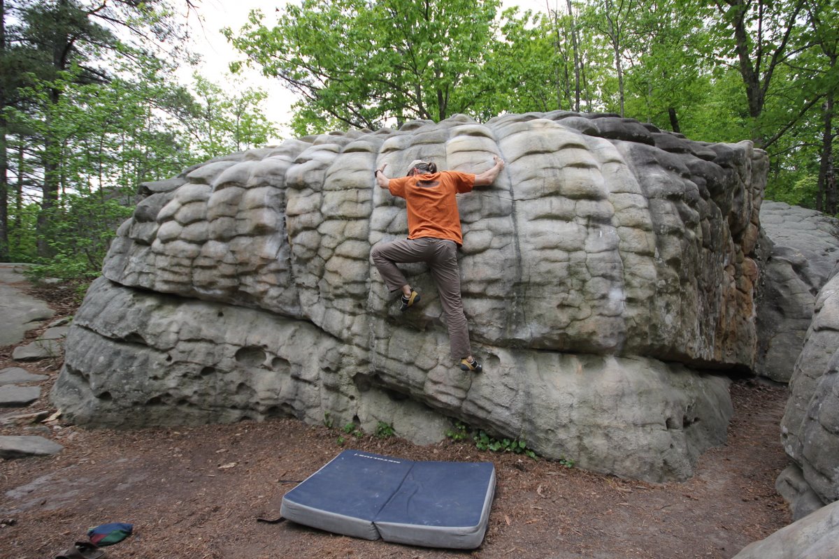 Ropeless: Horse Pens 40