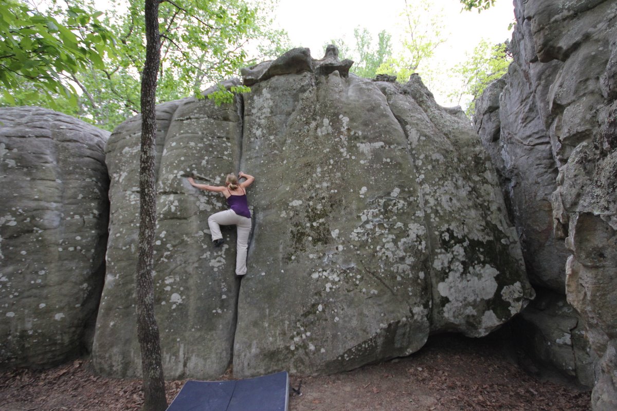Ropeless: Horse Pens 40