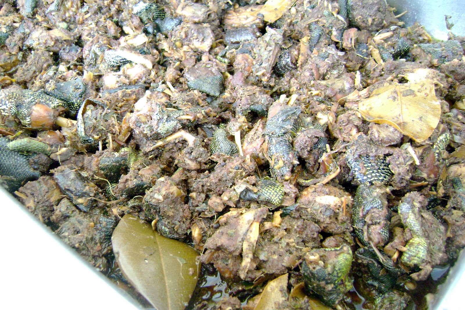 Belly in Hand: Tobago Blue Food Festival 2010