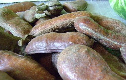 Frutas para una vida sana: La algarroba, fruta de vida y juventud