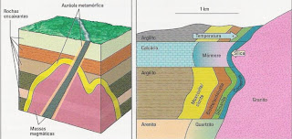 Natural Life: Tipos de metamorfismo