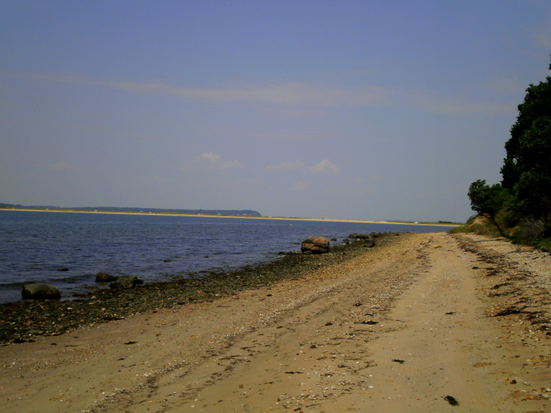 Northeastern Excursions: Cedar Point County Park Pictures