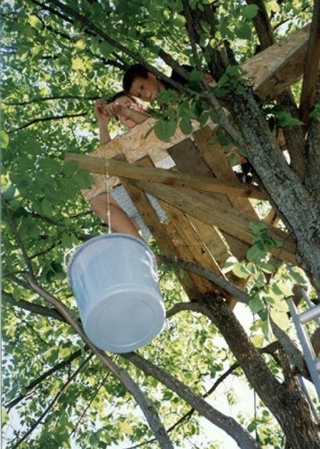 Having Fun at Home: Tree-house dumb-waiter