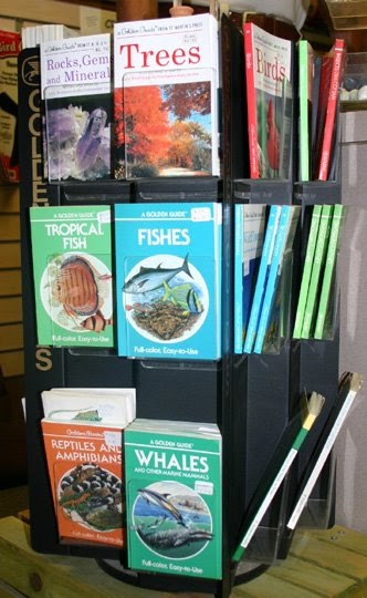 Having Fun at Home: Sticks and Rocks