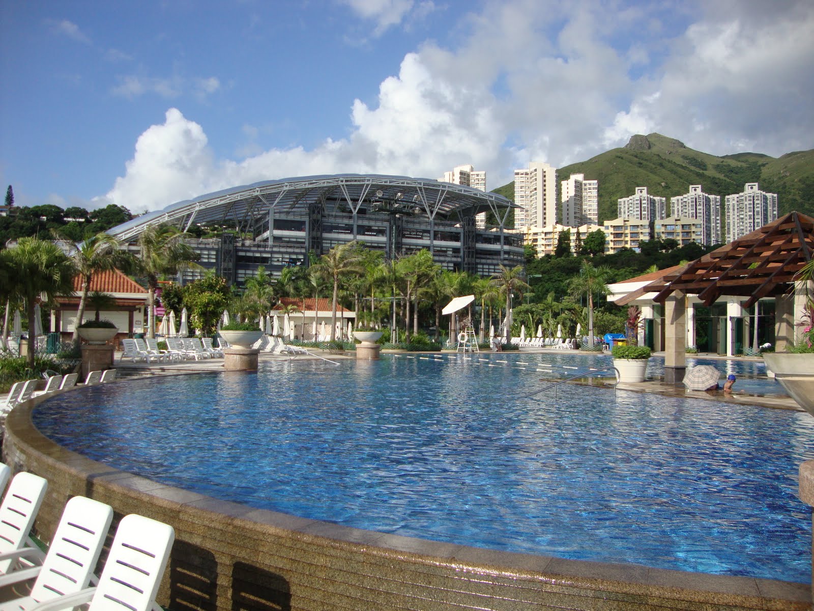 Trill's Adventures: Making Plans at Discovery Bay