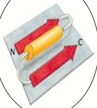 n0b3l1a: lec8 - super secondary structure - motifs