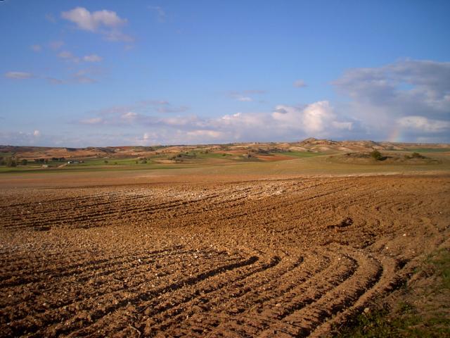 CIAGRO: JAD apoya traspaso de tierras a Vicini