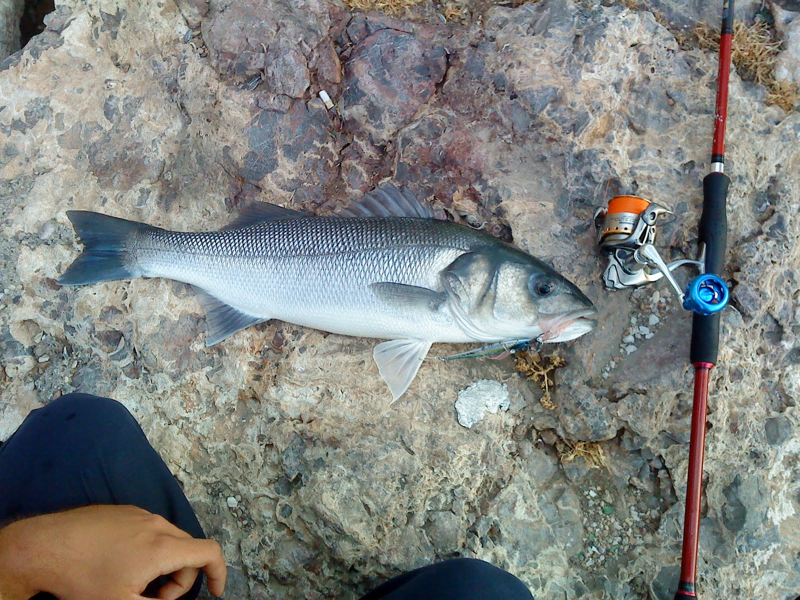 El loco del Fraile: Una de Jig Casting