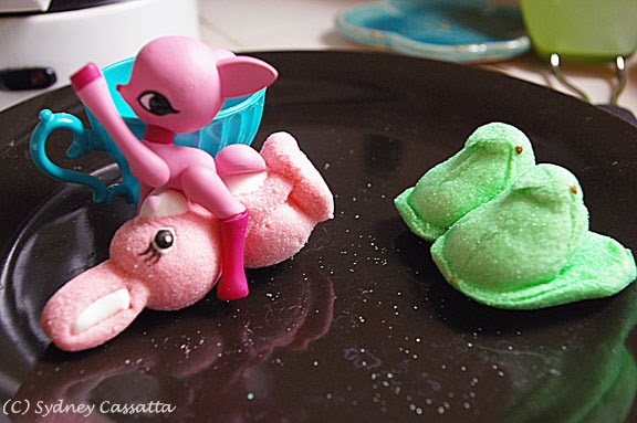 I'm not homeless: Maple Walnut Chocolate Cake and Marshmallow Creatures