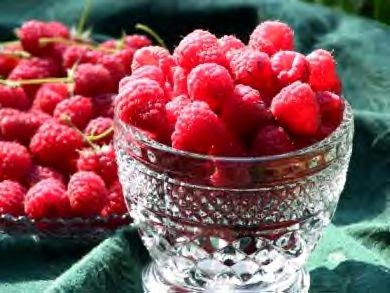 Beautytiptoday.com: Health Beauty Benefits Abound In Red Raspberries
