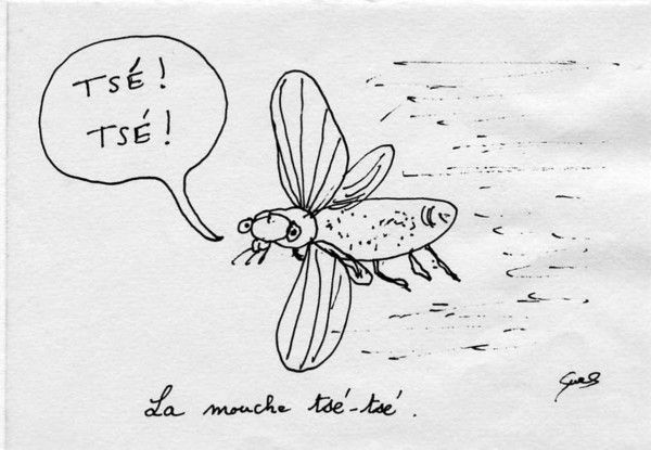 SILO: La mouche tsé-tsé