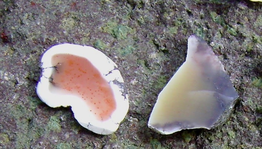 Gems of Michigan: Michigan Datolite