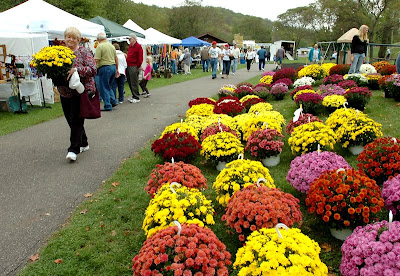 Behind the Lens: September 2008